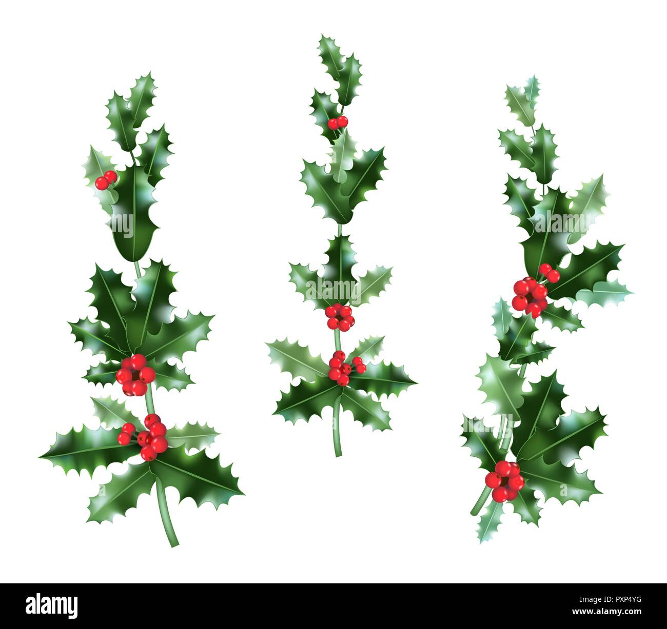 Holly decor hi-res stock photography and images - Alamy