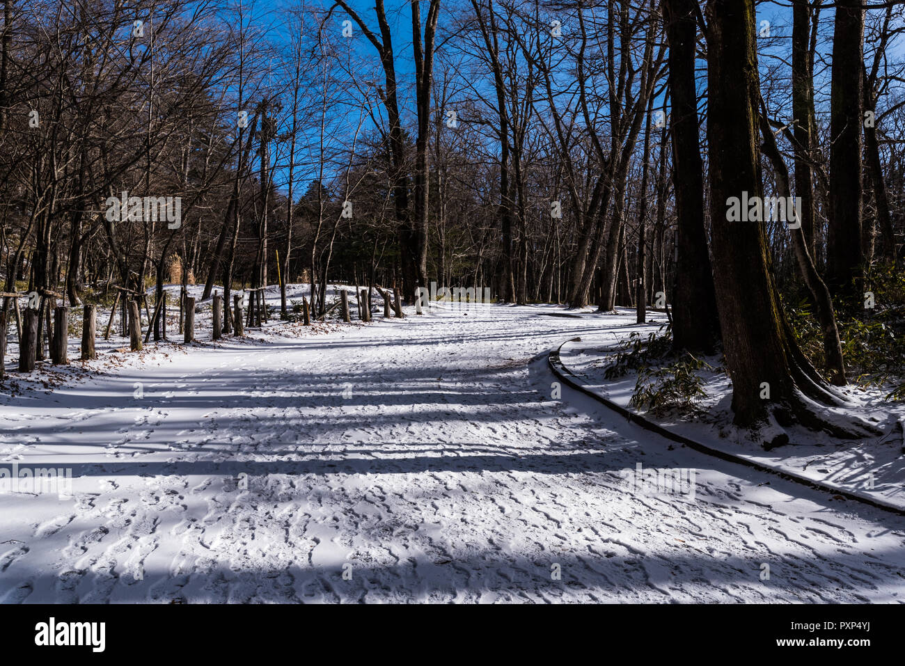walk way in japan Stock Photo - Alamy