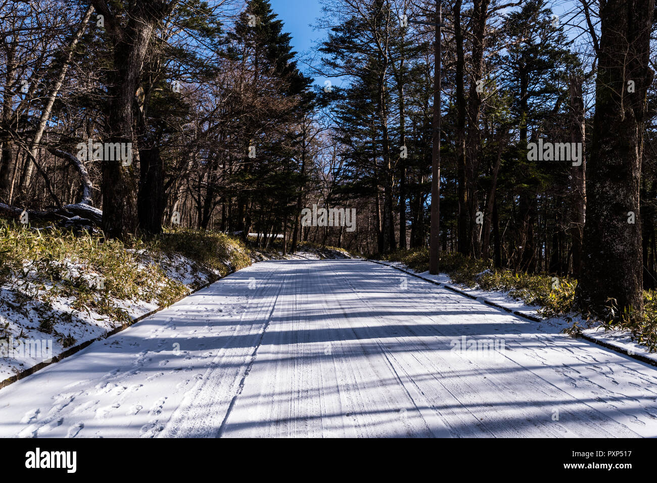 walk way in japan Stock Photo - Alamy
