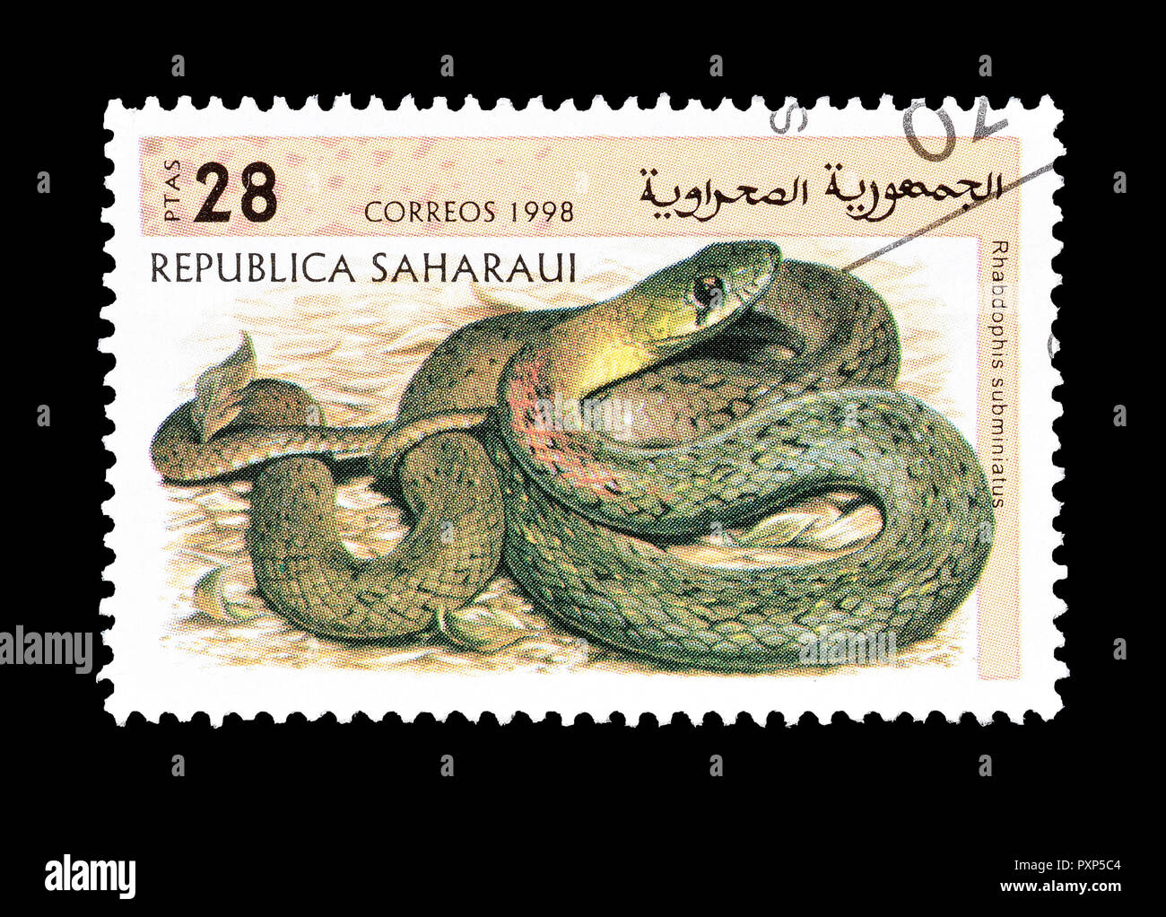 Cancelled postage stamp printed by Saharaui, that shows red-necked ...