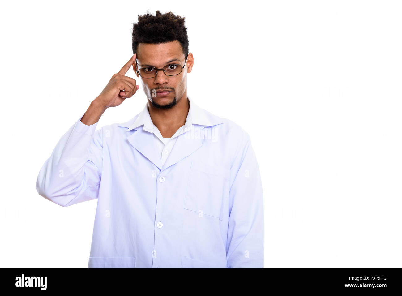 Black lab head shot hi-res stock photography and images - Alamy