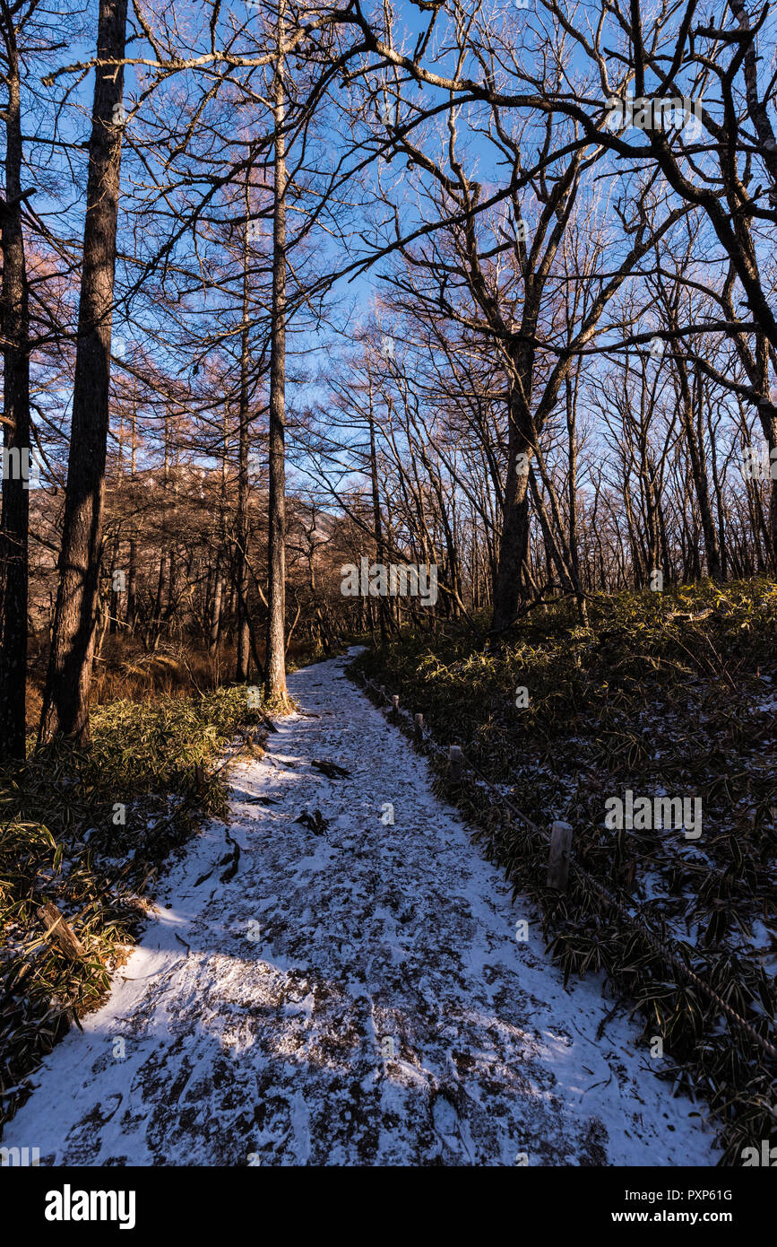Walk way in snow Stock Photo - Alamy