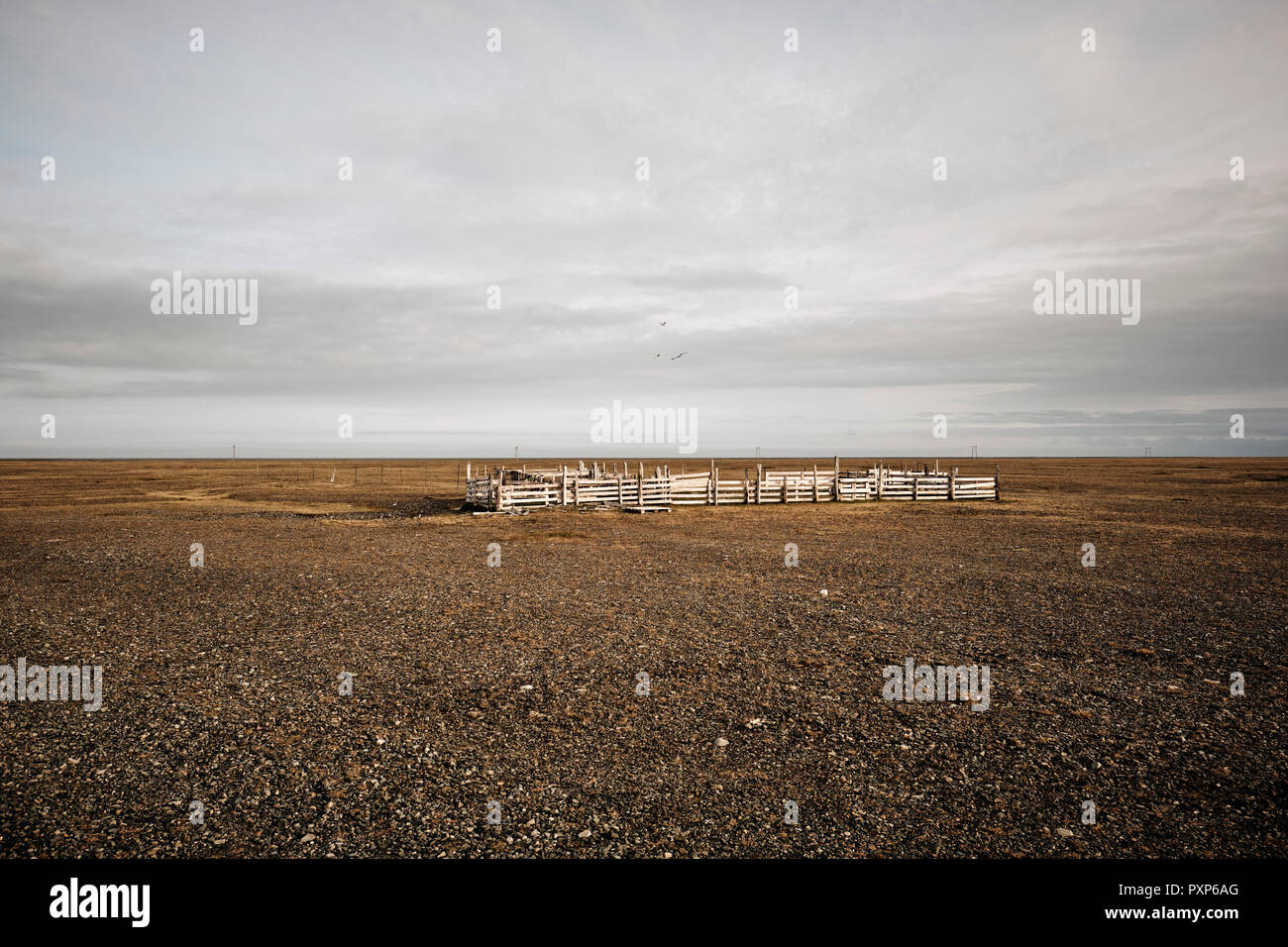 Abandoned sheep pens in the desolate empty flat landscape of the ...