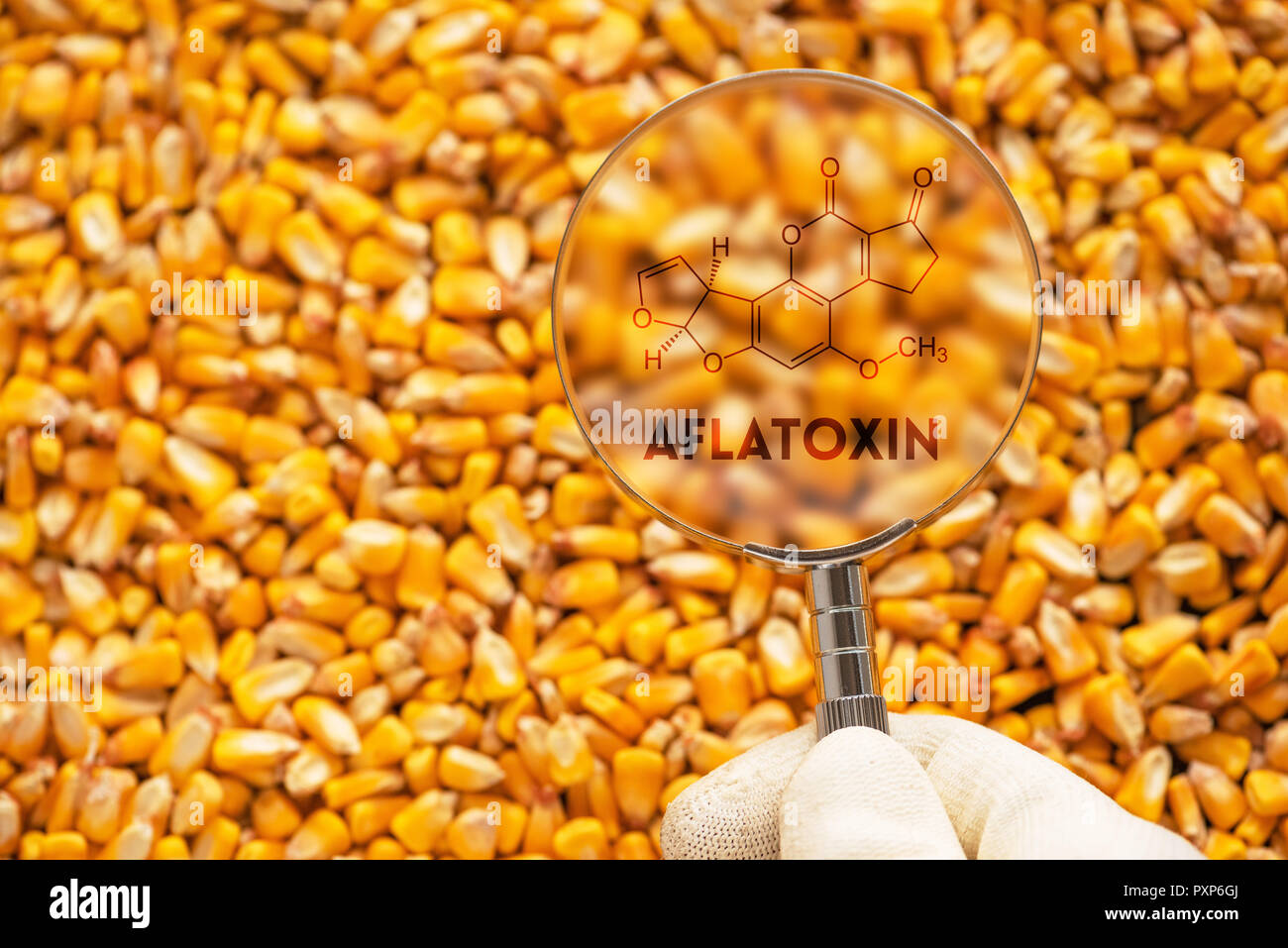 Corn fungus hi-res stock photography and images - Alamy