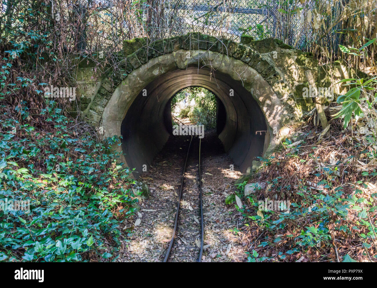 small train railway with a tube tunnel and some generic vegetation ...