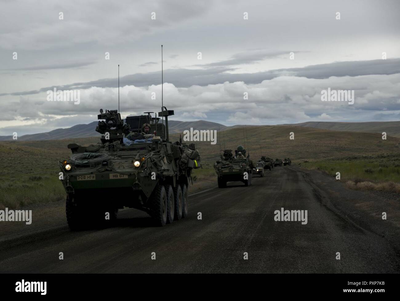 U.S. Soldiers from the 1-17 Infantry Regiment drive Strykers during ...
