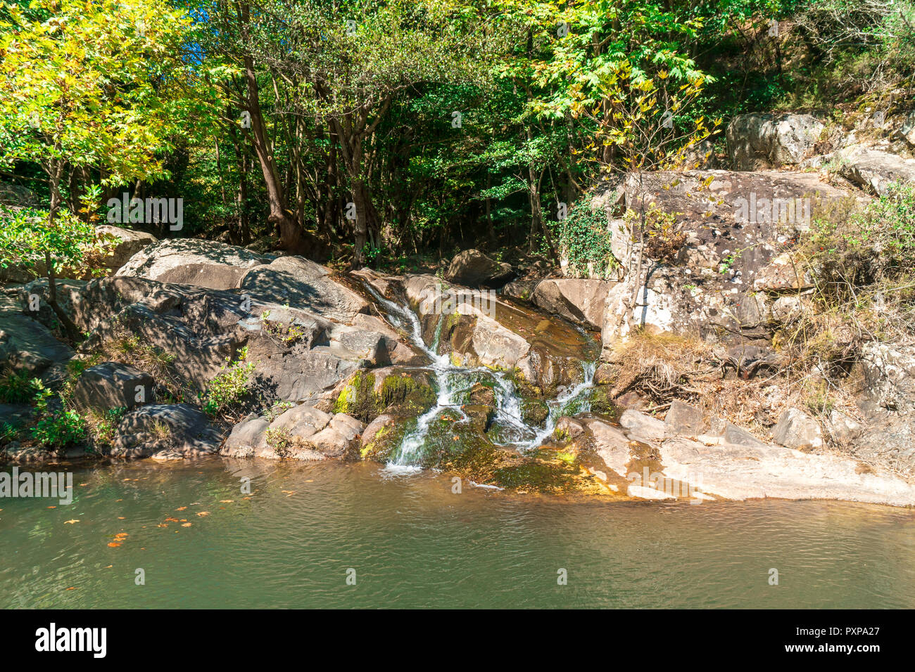 View of small river with waterfall among tree forest Stock Photo - Alamy