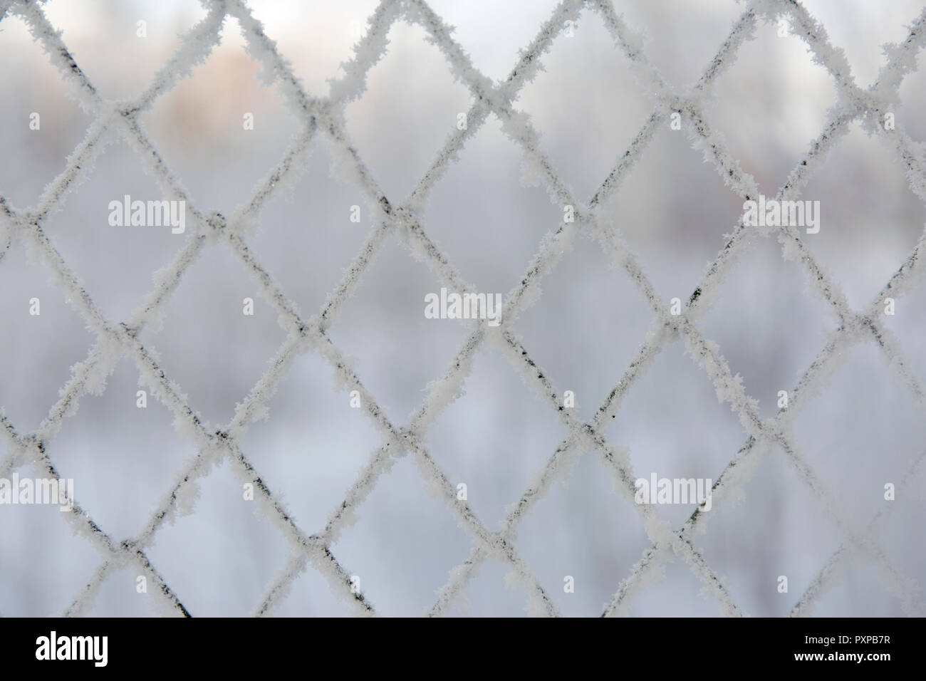Lattice fence hi-res stock photography and images - Alamy