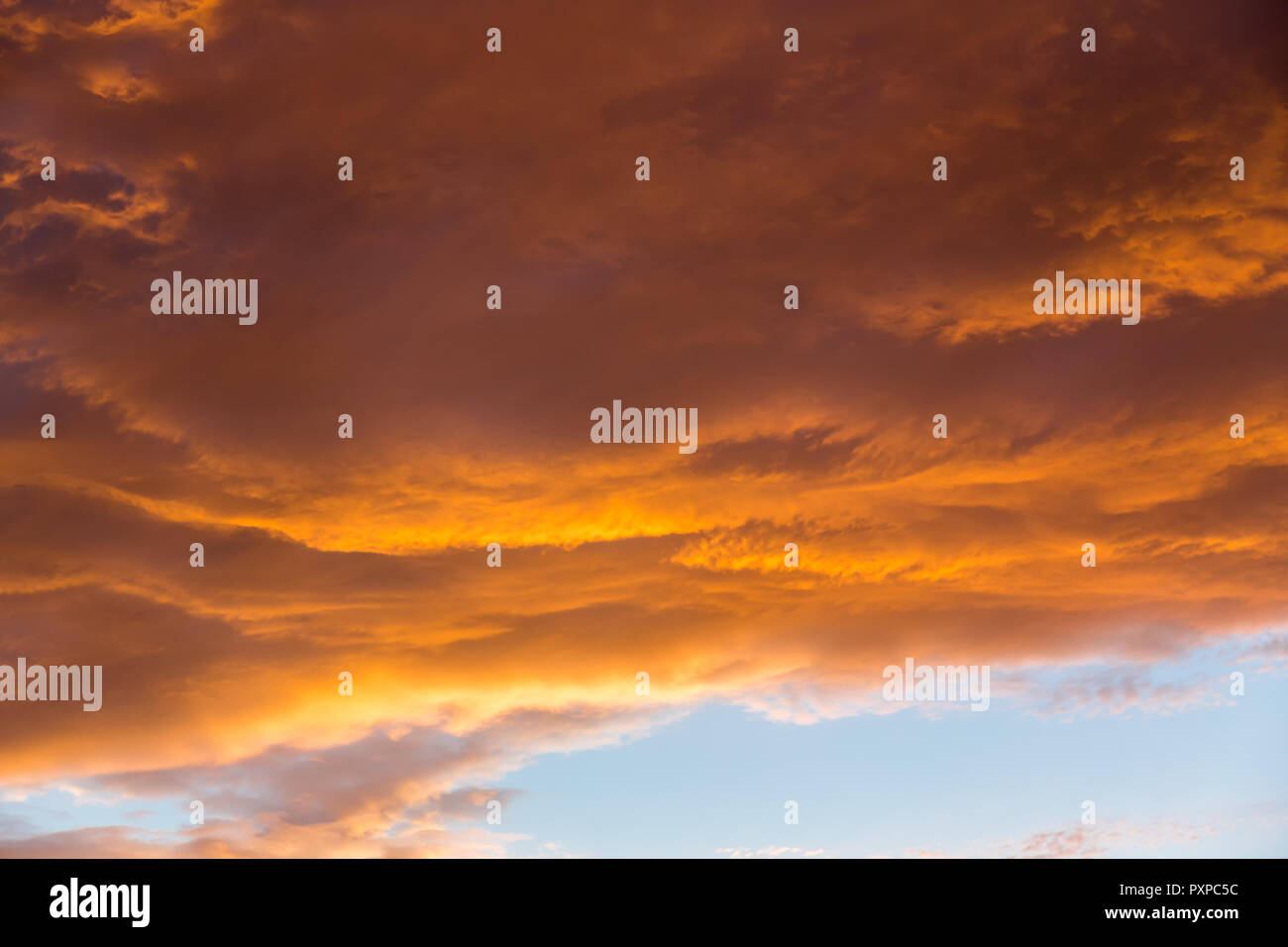 Yellow sunset sky hi-res stock photography and images - Alamy