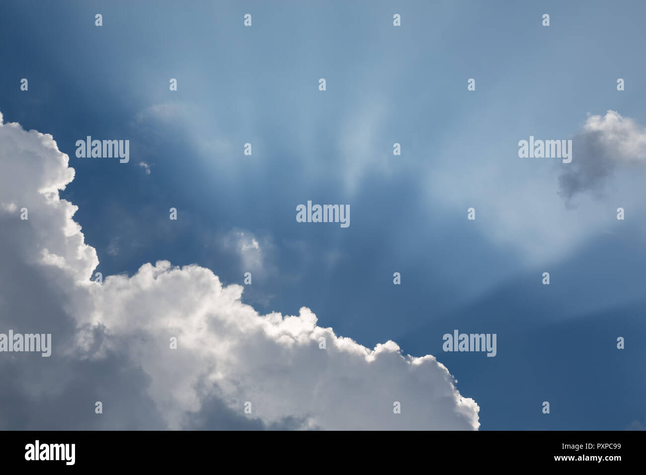 Tinged with blue hi-res stock photography and images - Alamy