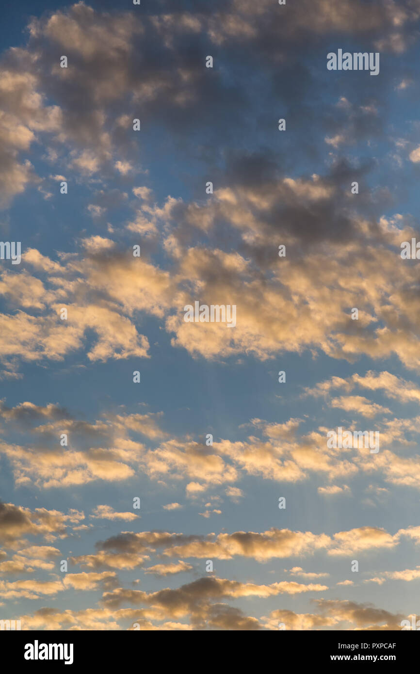 Yellow sunset sky hi-res stock photography and images - Alamy