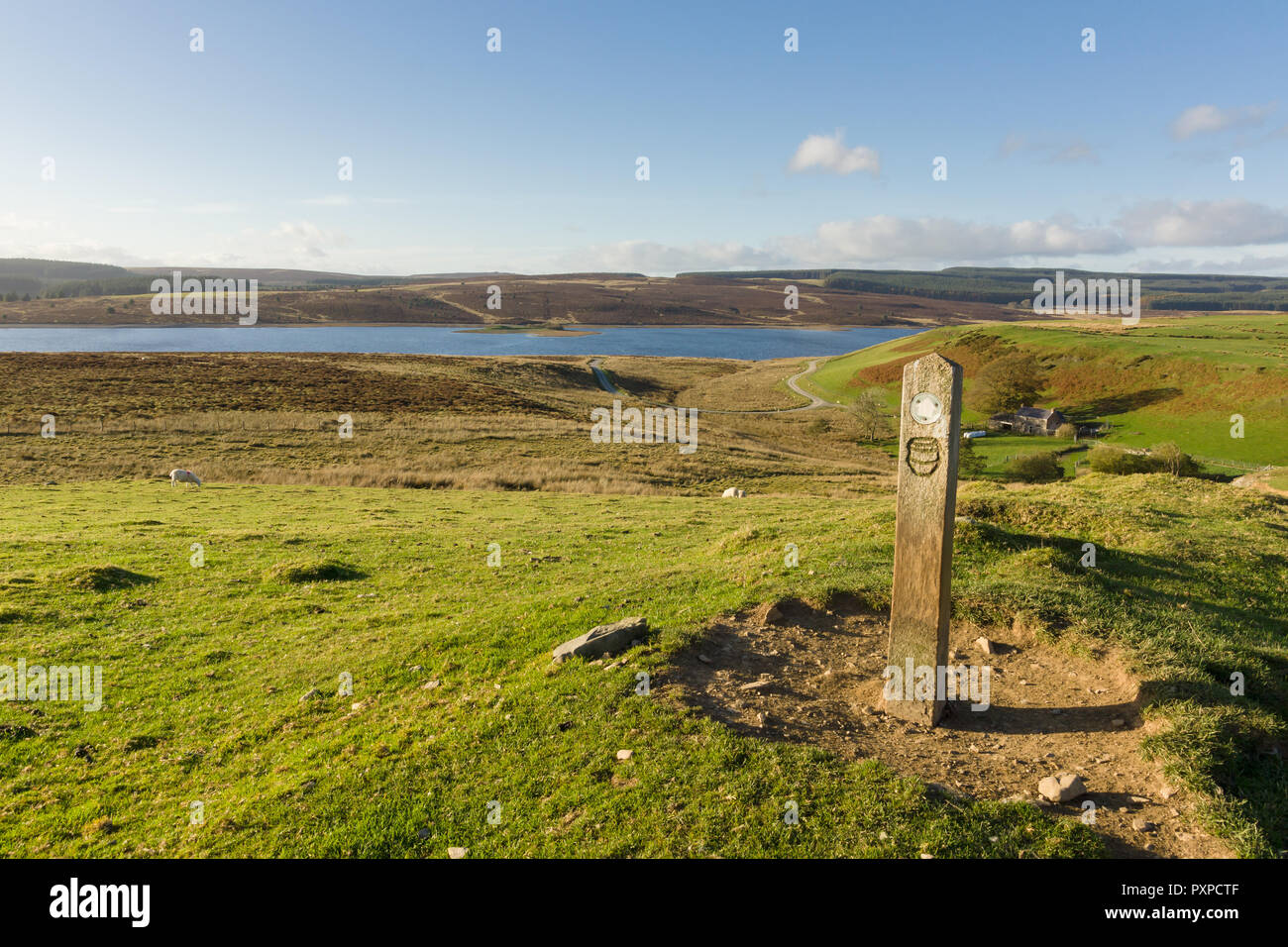 Walking guide post at Llyn Brenig reservoir in the Denbigh moors for ...