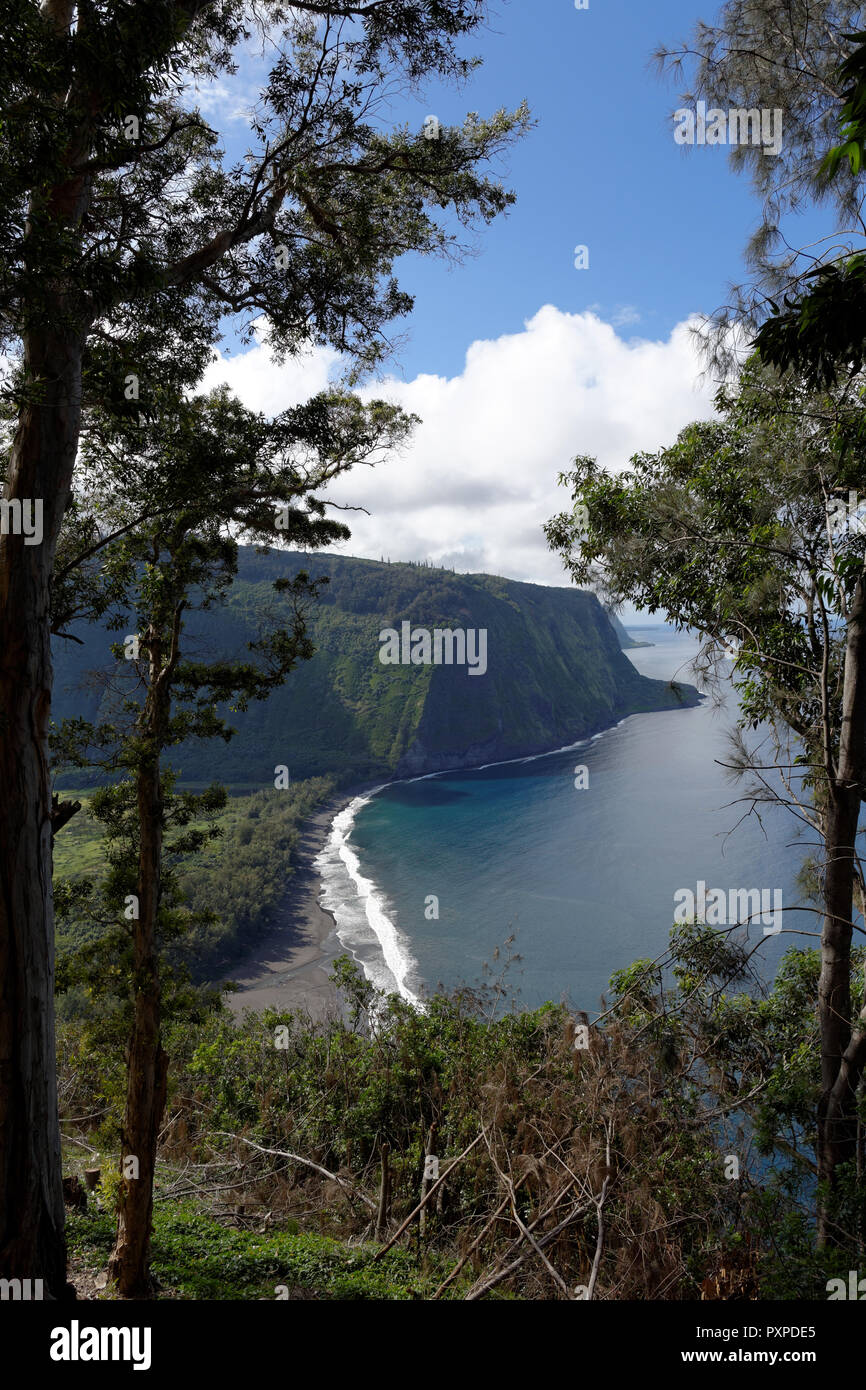 Waipio beach big island hi-res stock photography and images - Alamy