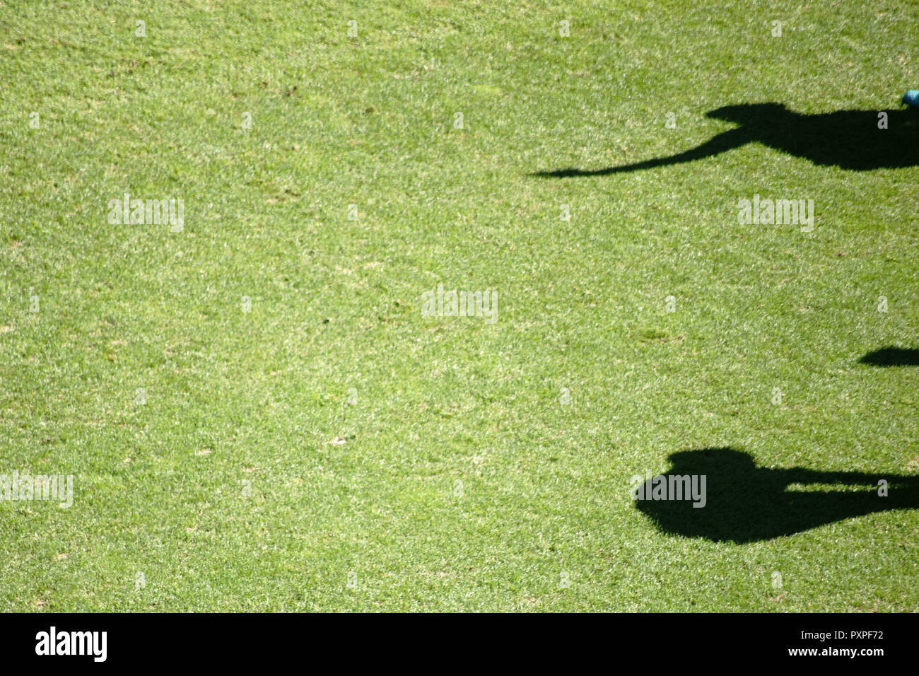 The shadows of football players in warm-up exercises on the green grass ...