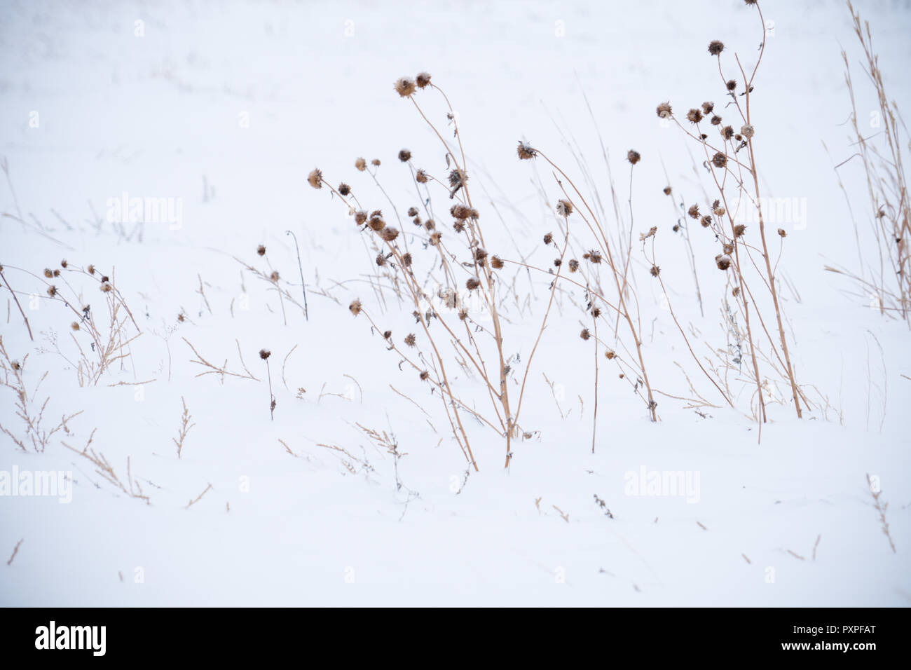 Nebraska landscape snow hi-res stock photography and images - Alamy