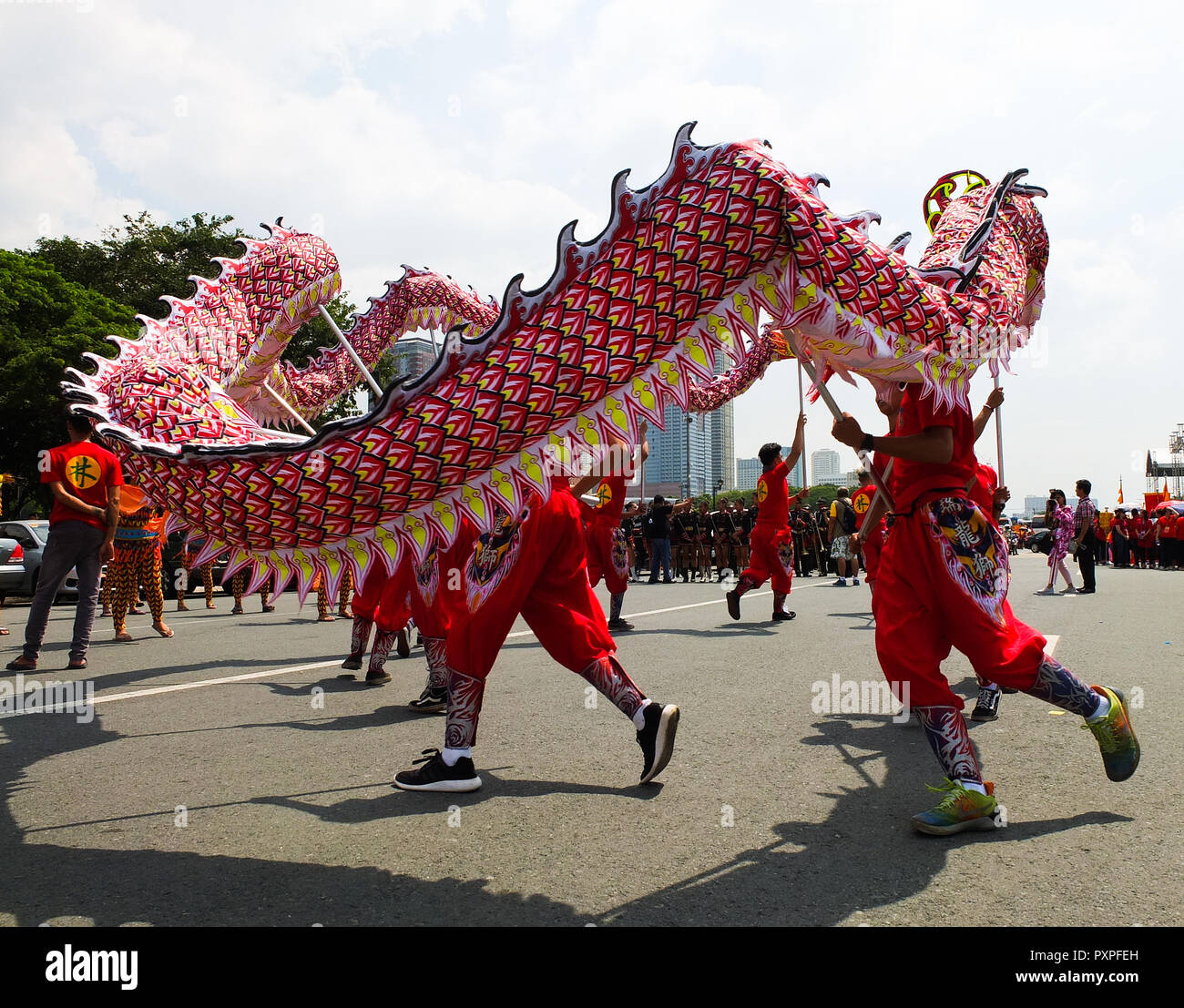Filipino Chinese dragon dancers are seen performing during the ...