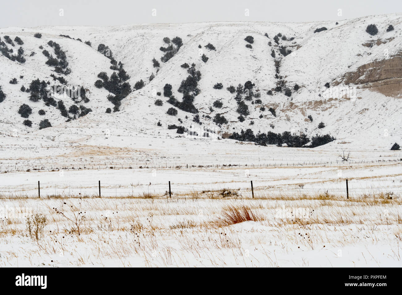 Winter hilly landscape scene in rural Nebraska, with fencing and ...