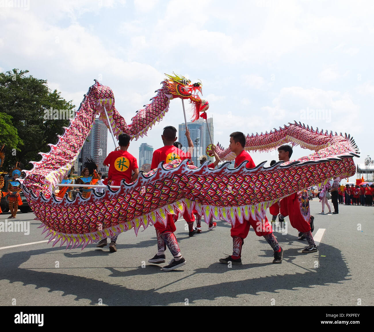 Filipino Chinese dragon dancers are seen performing during the ...