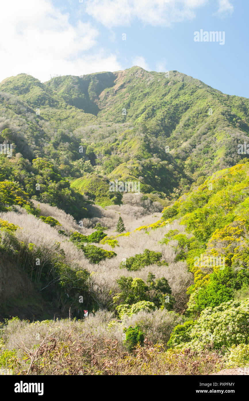 Maui landscape hi-res stock photography and images - Alamy