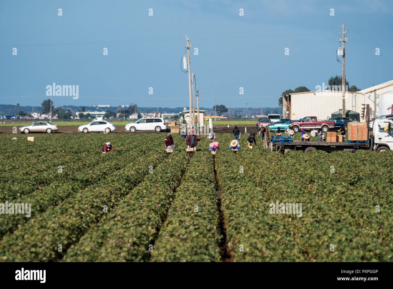 Salinas, California - October 17 2017: Immigrant migrant seasonal farm ...