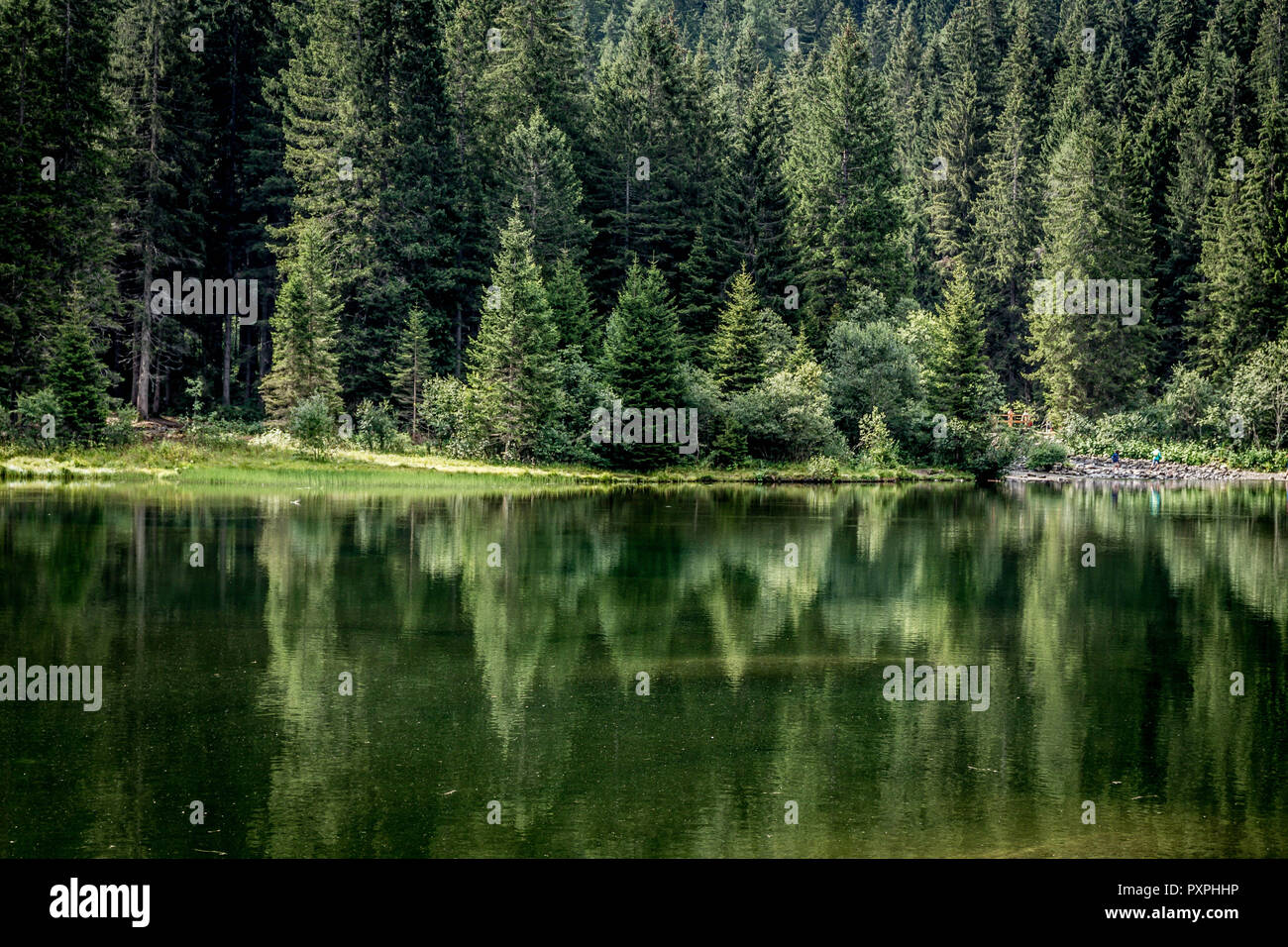 Wood reflection on the lake Stock Photo - Alamy