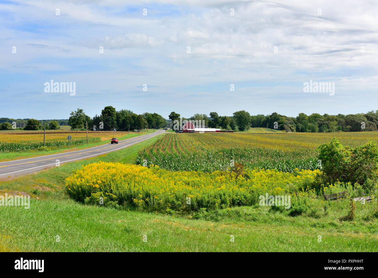 Rural landscape of flat farmland in the Finger Lakes region of New York ...