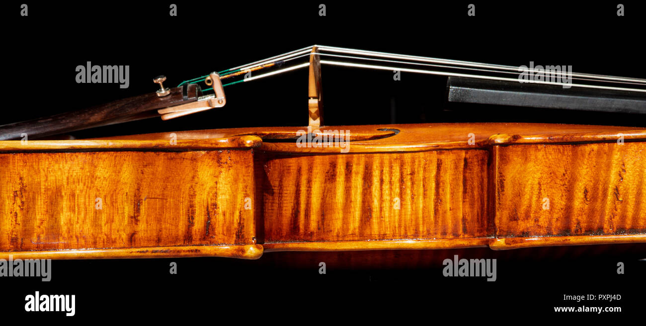 A side view of a viola against a black background showing the ribs ...