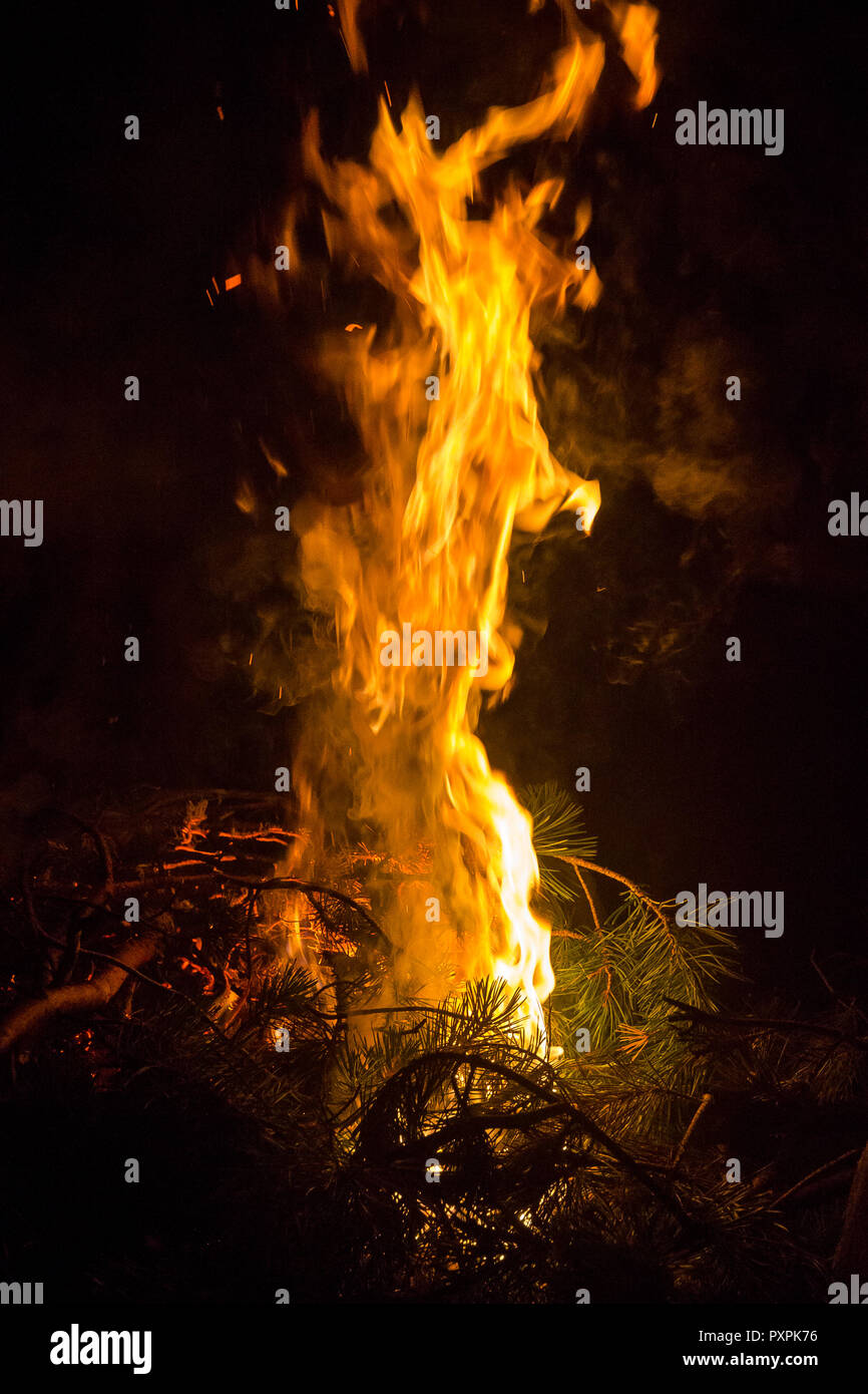Pine branches fire hi-res stock photography and images - Alamy