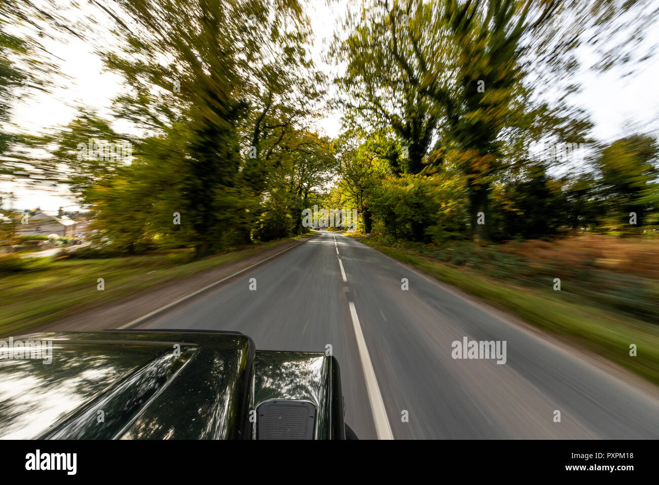 Classic forest drives in a Landrover Defender. Forest of Dean ...