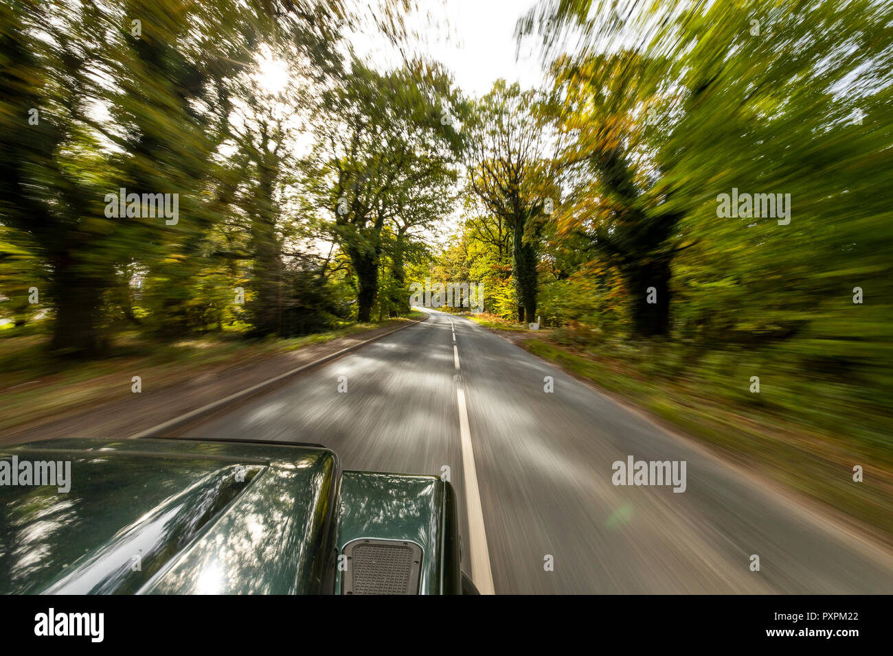 Classic forest drives in a Landrover Defender. Forest of Dean ...