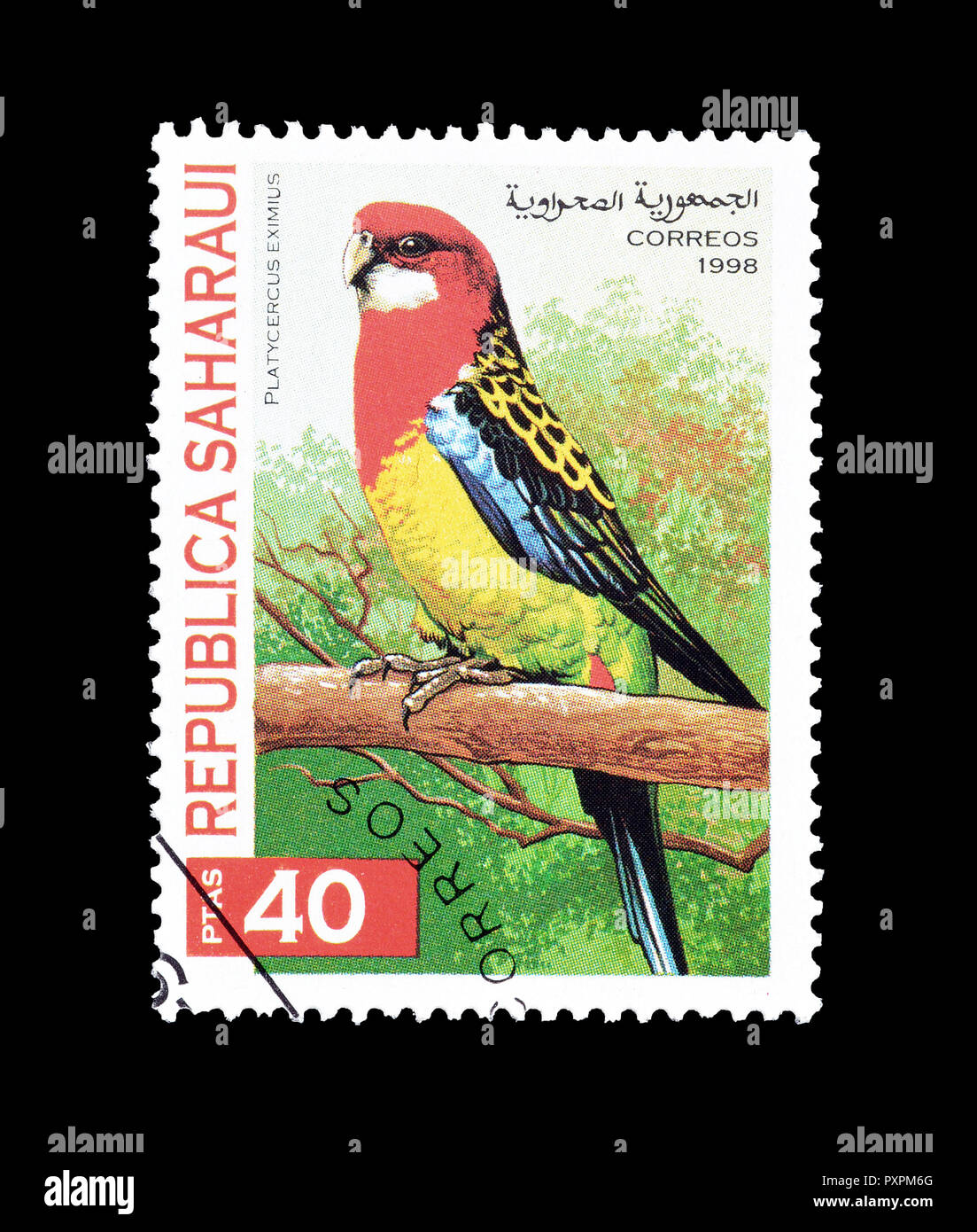 Cancelled postage stamp printed by Republic Saharaui, that shows The ...