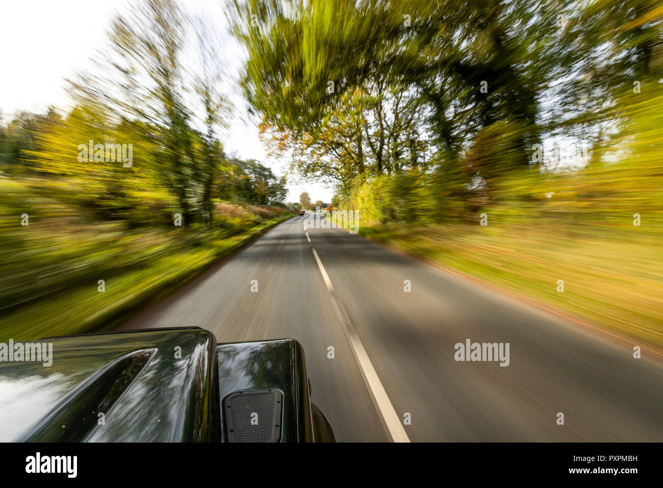 Classic forest drives in a Landrover Defender. Forest of Dean ...