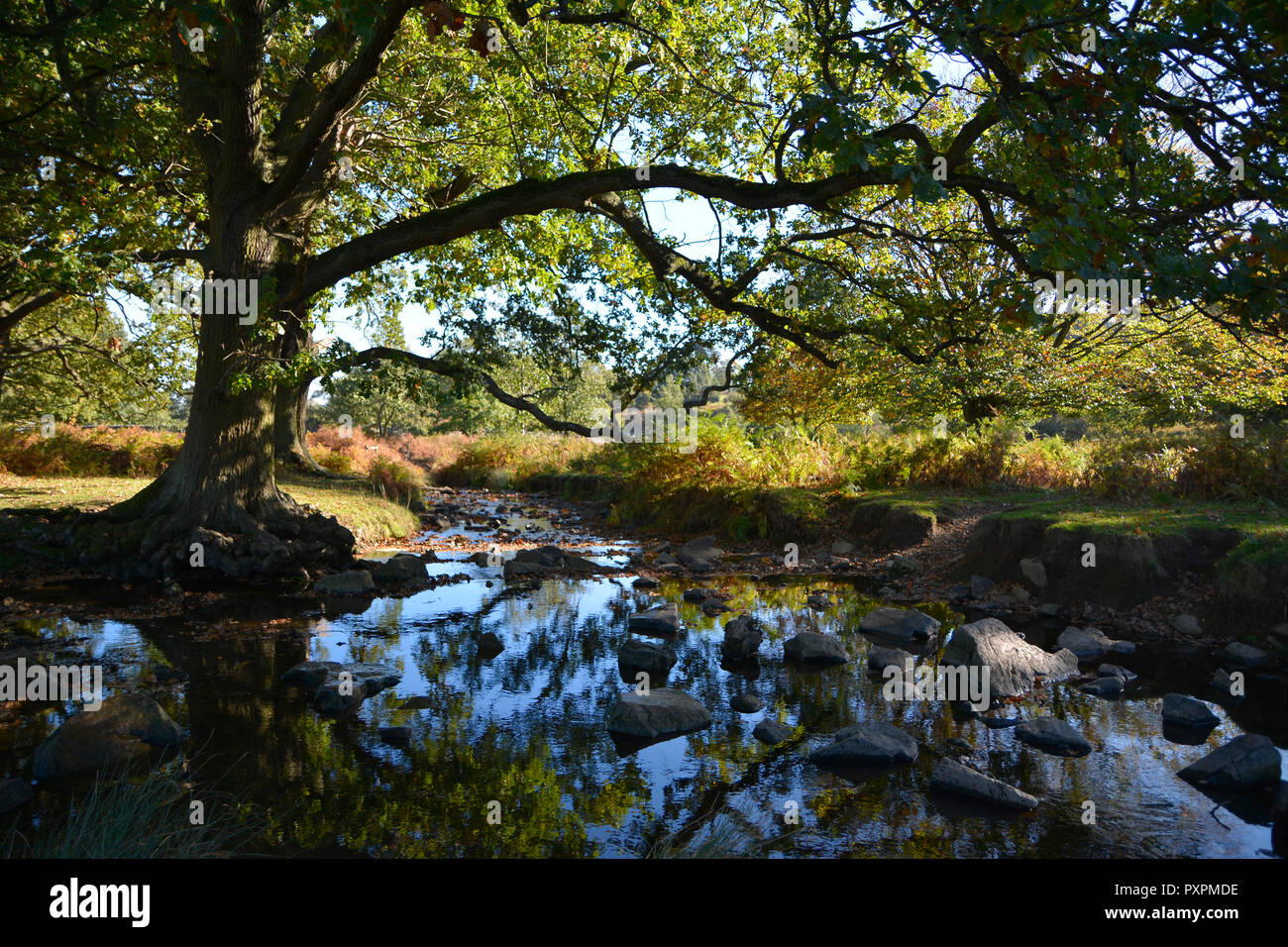 Lin brook hi-res stock photography and images - Alamy