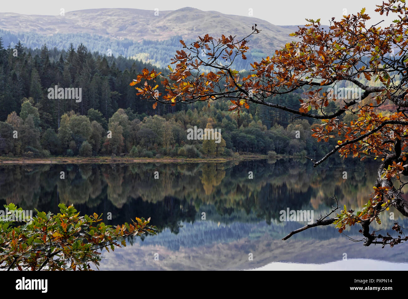 autumn water reflection Stock Photo - Alamy