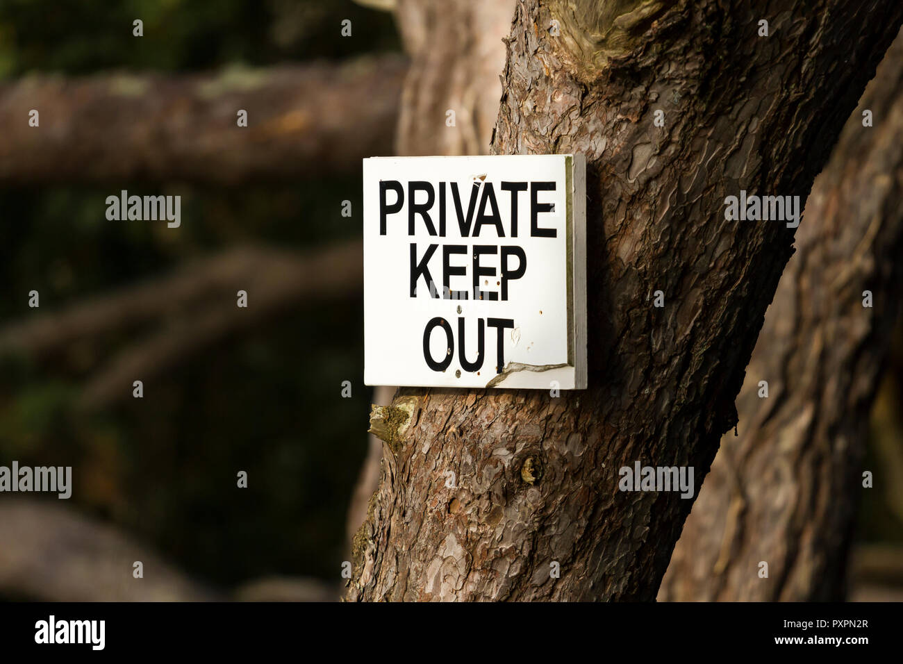 Private Keep Out warning notice on a tree trunk, United Kingdom Stock ...