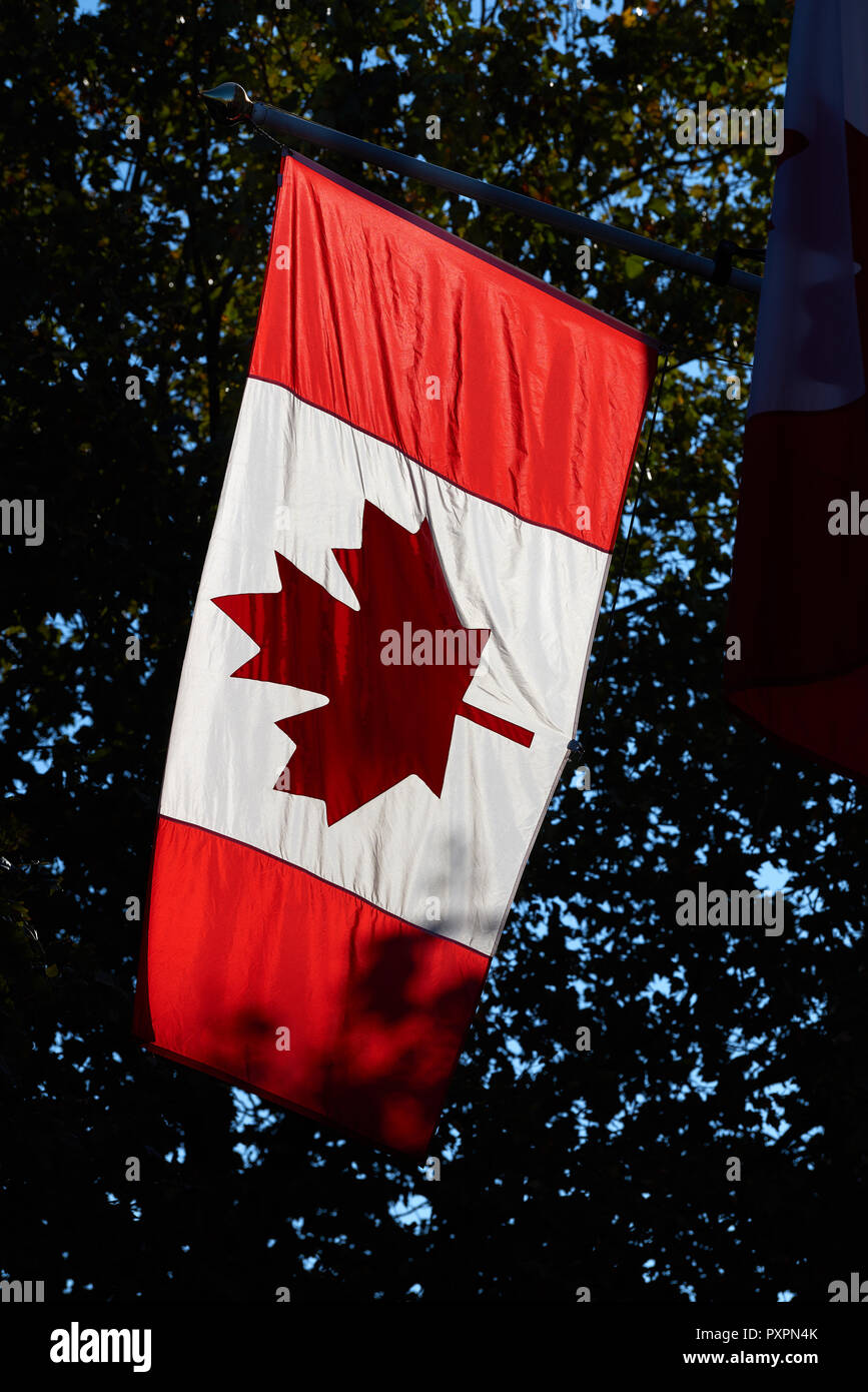 Canadian flag outside the embassy, Trafalgar Square, London, England ...