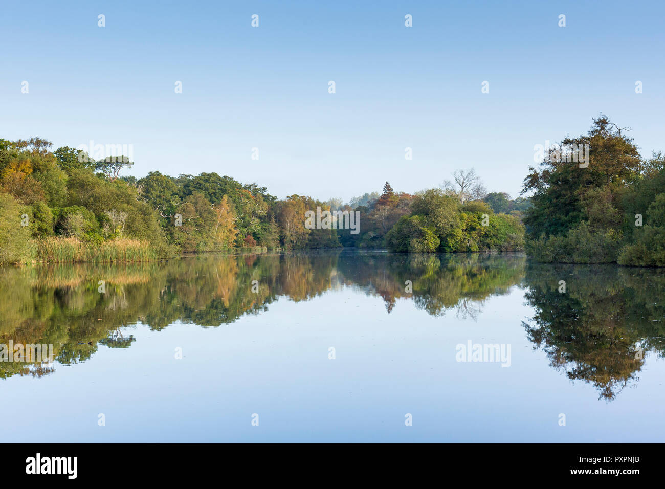 English autumn scenery hi-res stock photography and images - Alamy