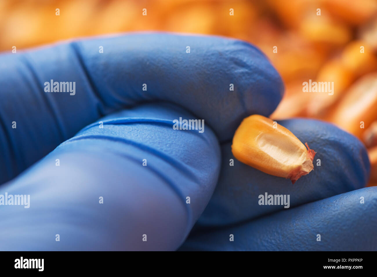 Microbiology lab quality control hi-res stock photography and images ...