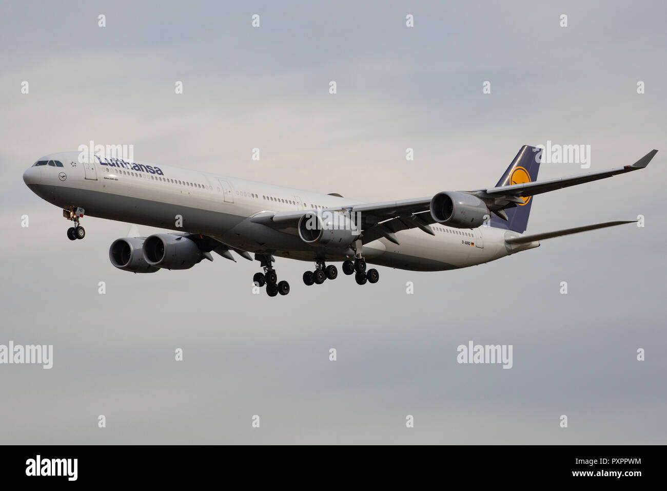 Lufthansa business class a340 hi-res stock photography and images - Alamy