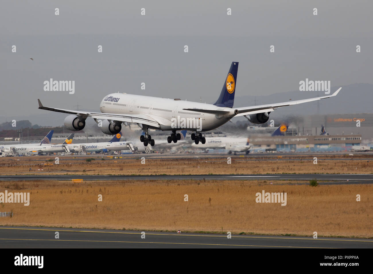 Lufthansa business class a340 hi-res stock photography and images - Alamy