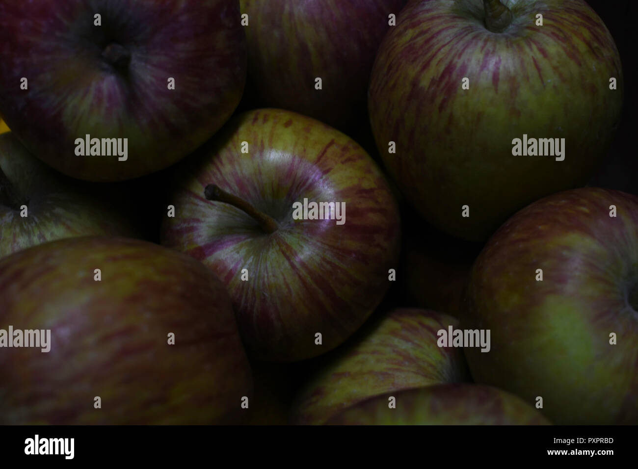 Crispy Fresh Braeburn Apples (malus domestica) Close-up Stock Photo - Alamy
