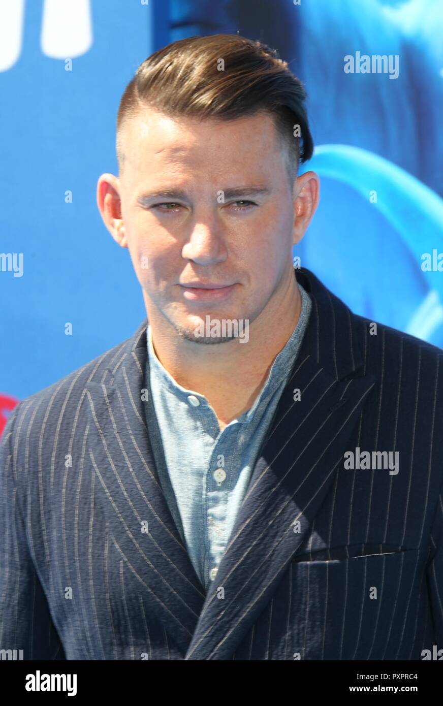 Los Angeles premiere of 'Smallfoot' - Arrivals Featuring: Channing ...