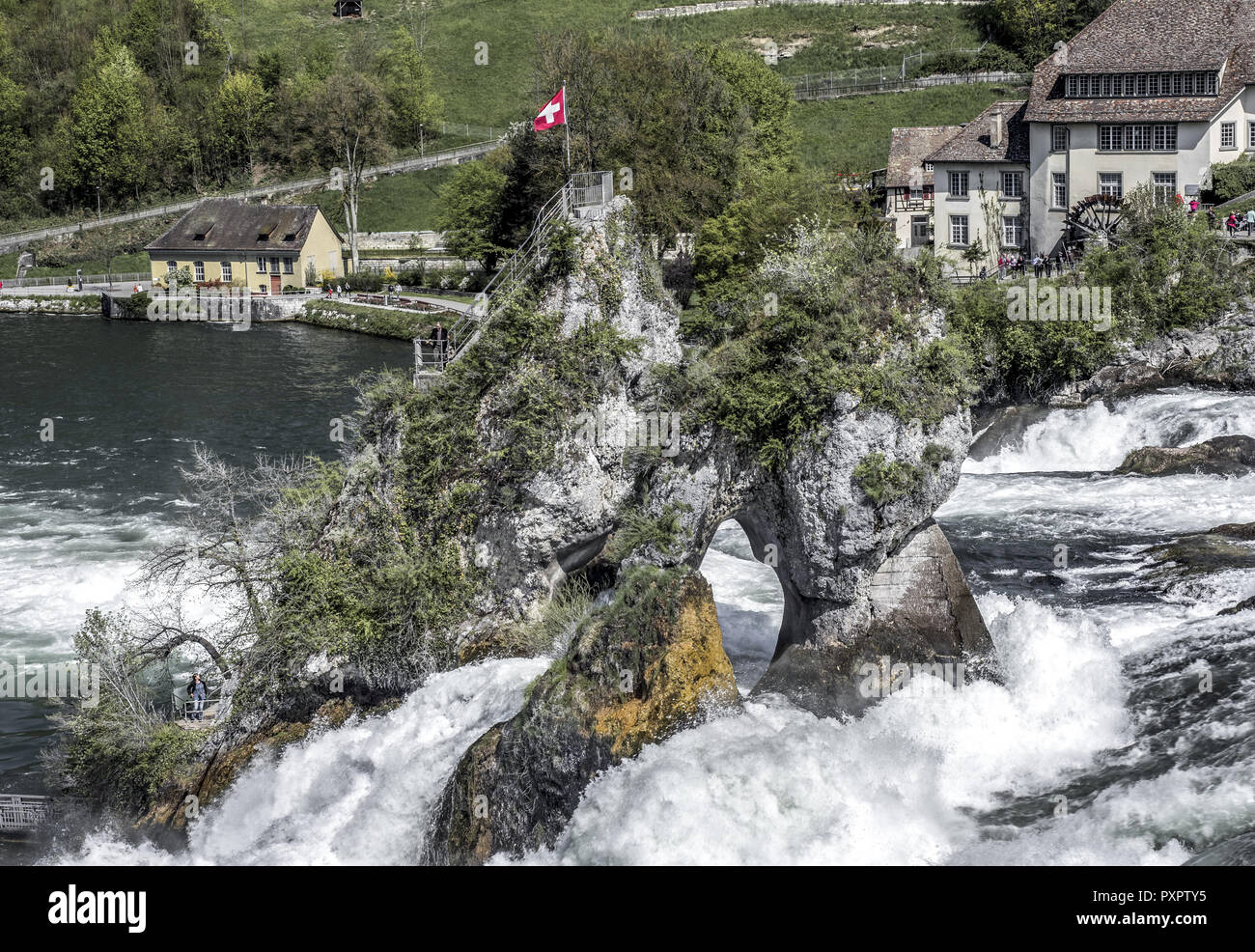 Water masses rhine falls hi-res stock photography and images - Alamy
