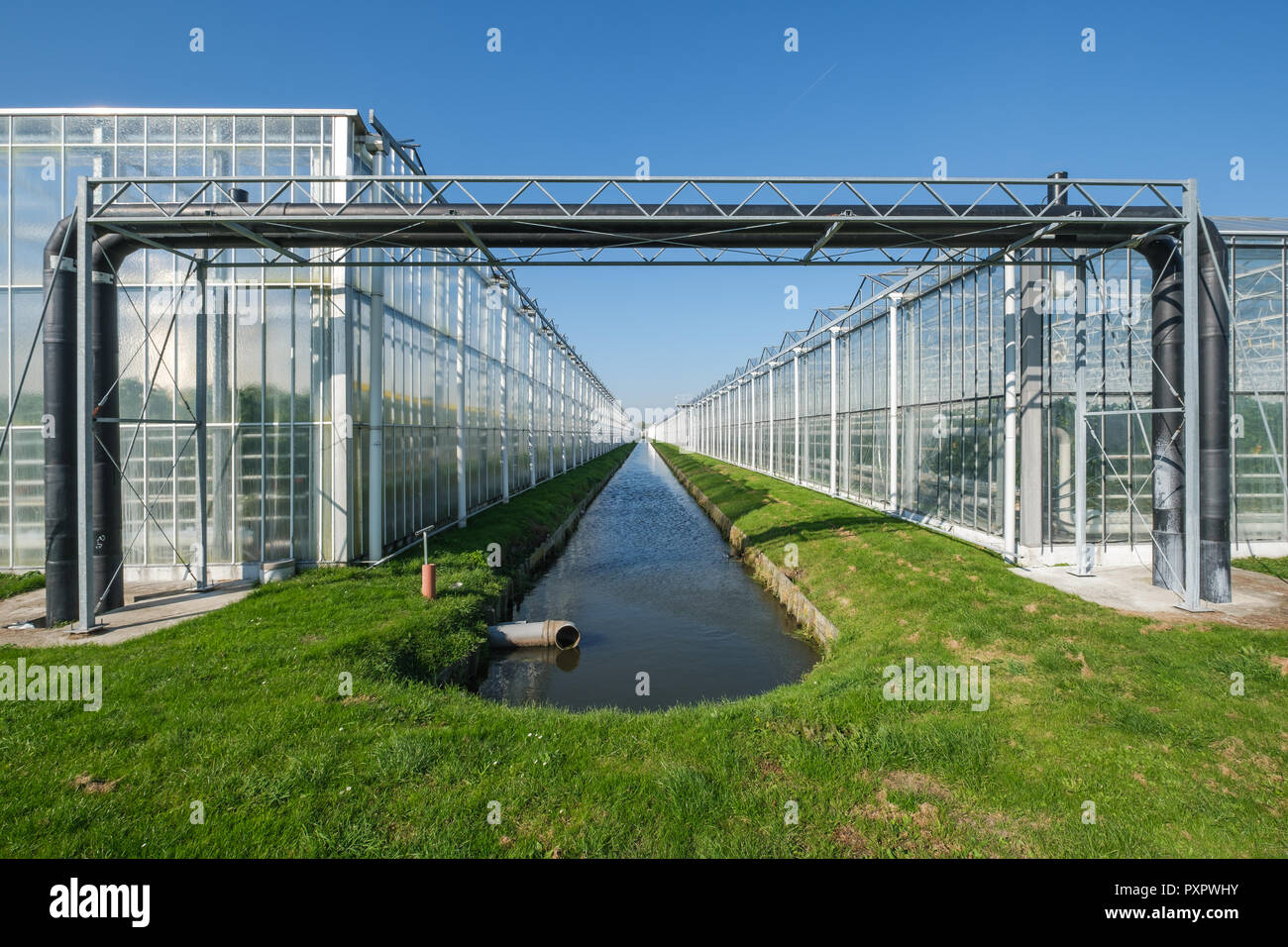 Perspective view of industrial glass greenhouses in the Netehrlands ...