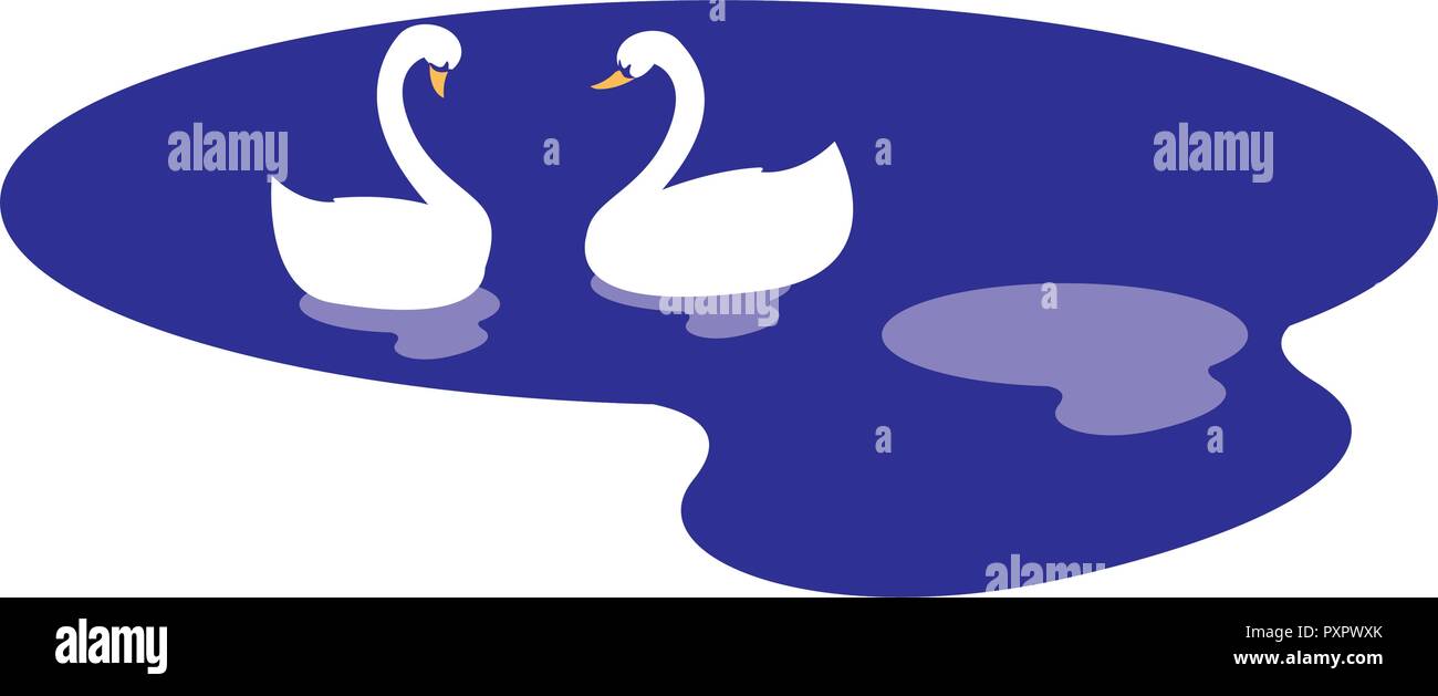 two swans in water over white background, vector illustration Stock ...