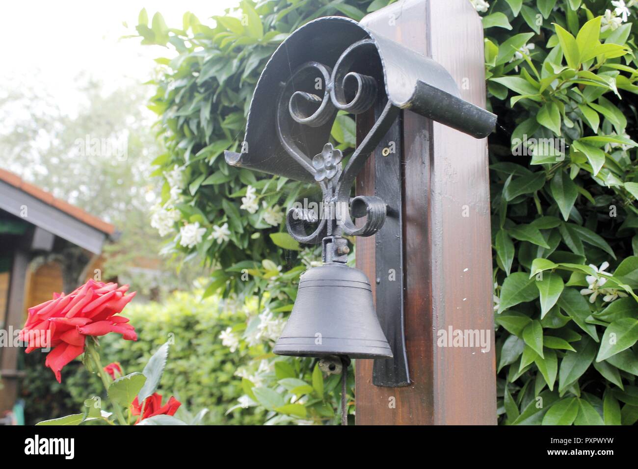 Ting leaves hi-res stock photography and images - Alamy