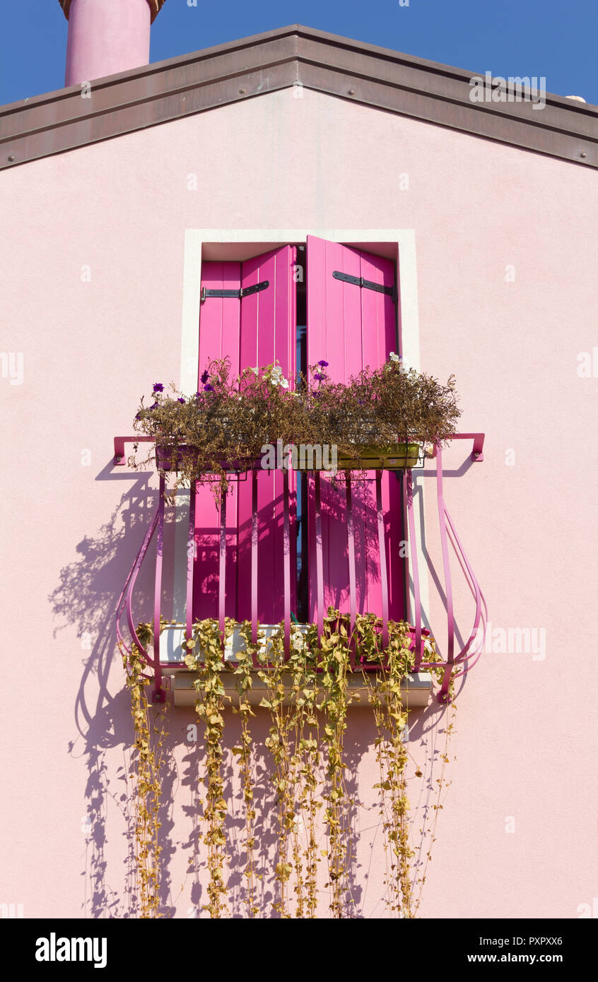 Purple And Pink Building