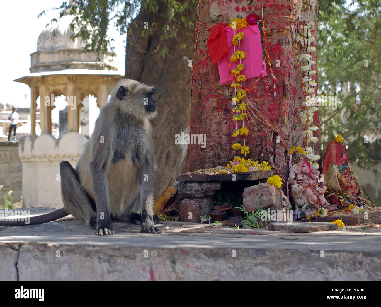 Ahar heritage hi-res stock photography and images - Alamy