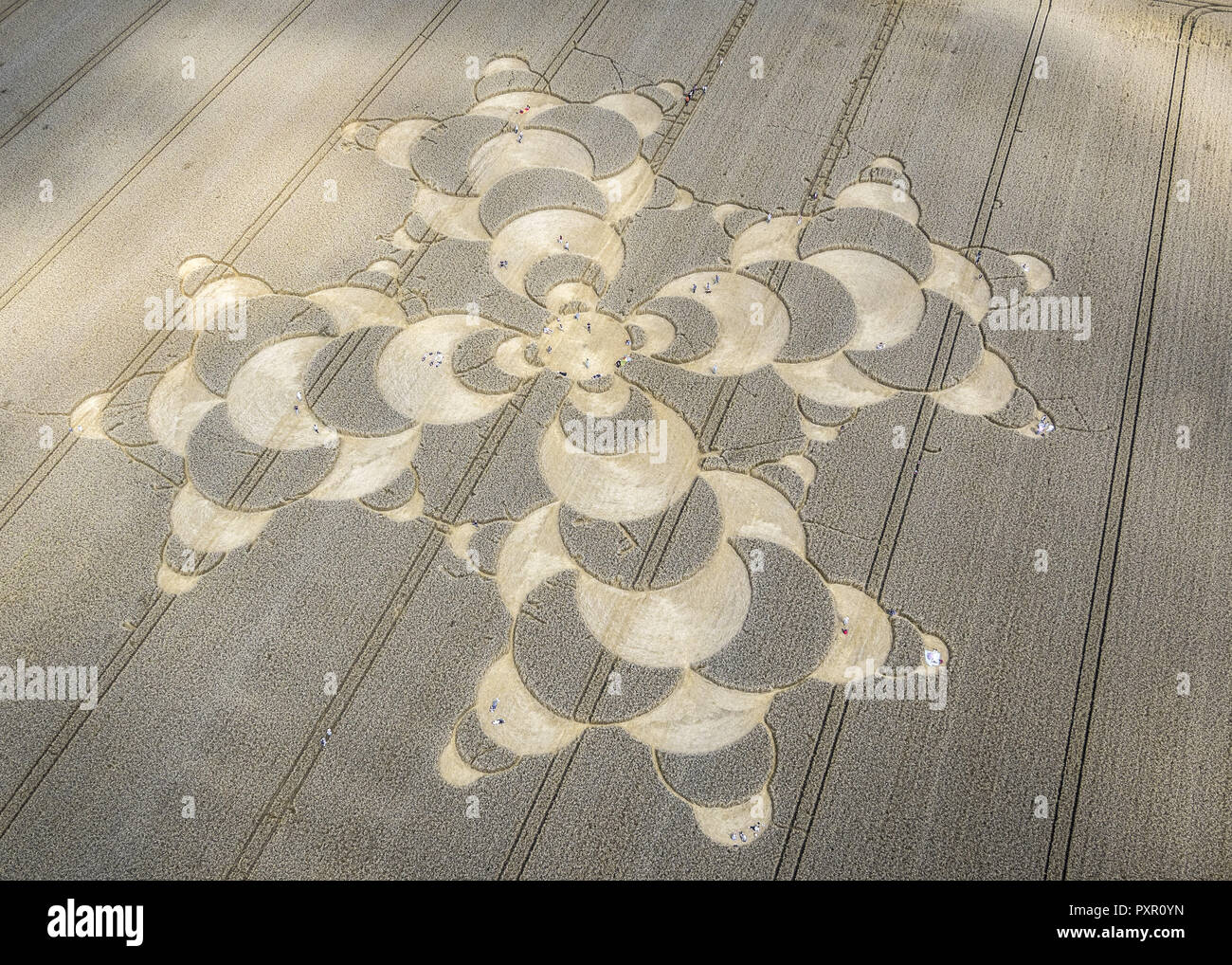 Crop circles in wheat field hi-res stock photography and images - Alamy