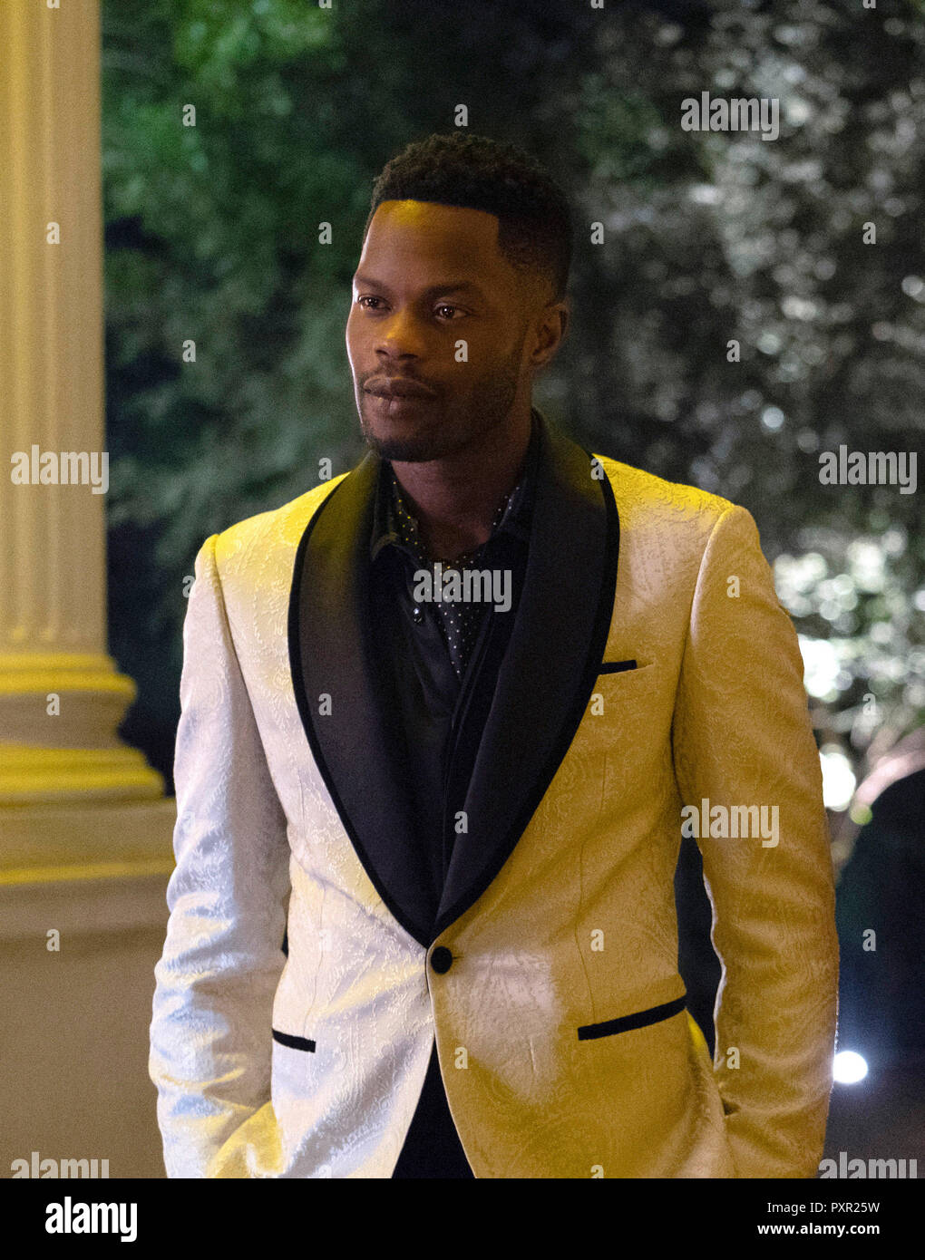 DYNASTY, Sam Adegoke in 'Twenty-Three Skidoo', (Season 2, Episode 201 ...